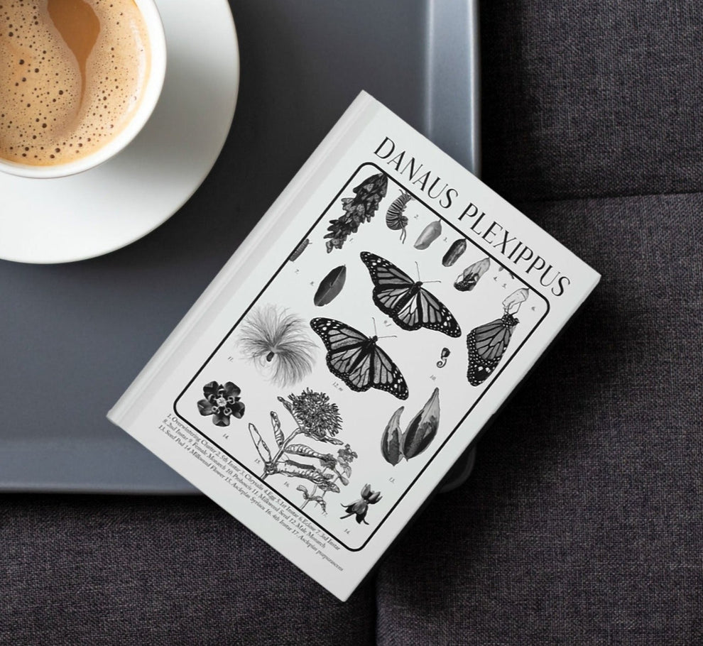 Monarch Butterfly Hardcover Journal, Monarch chrysalis, Danaus Plexipp ...